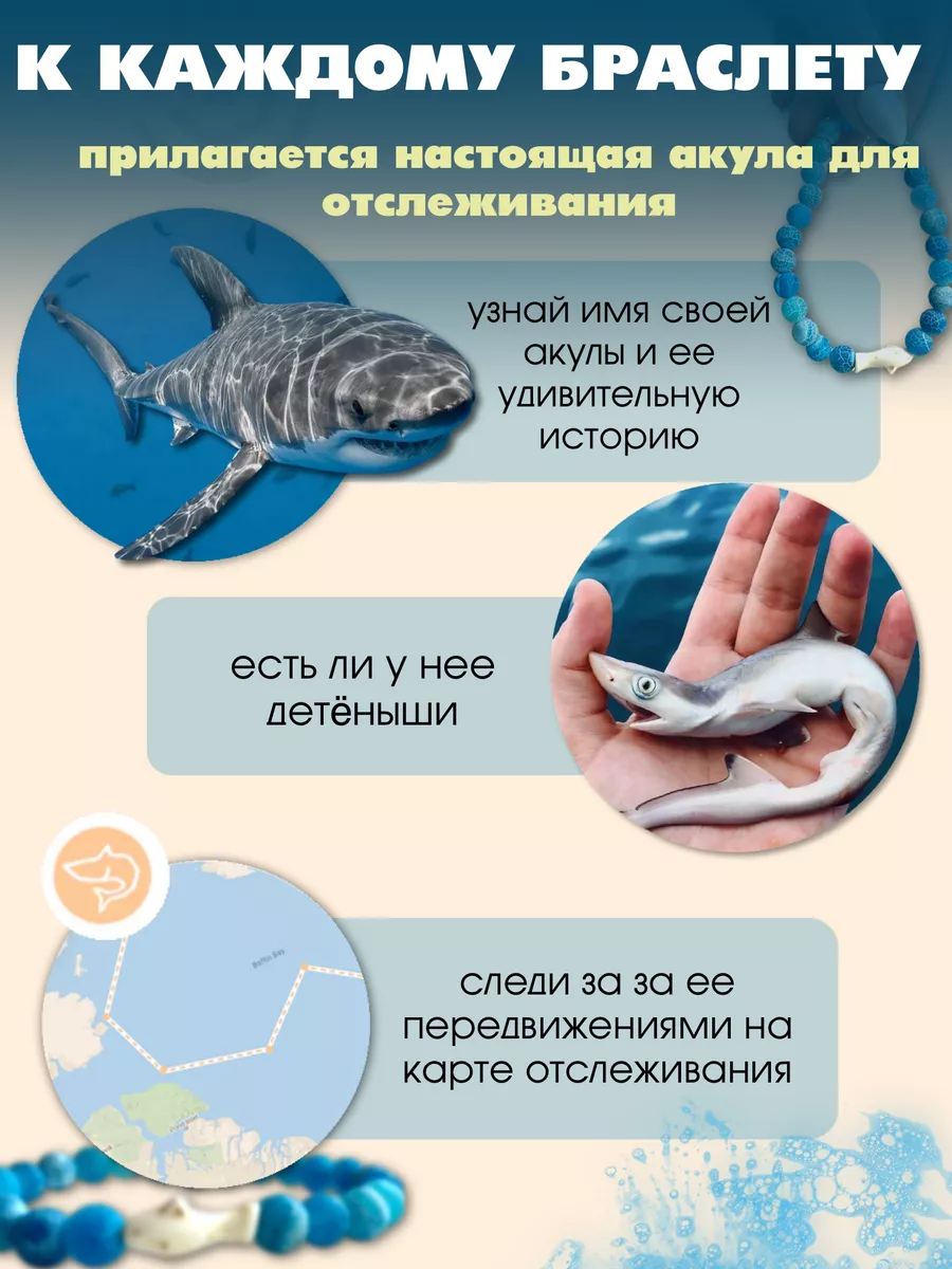 Браслет с трекером отслеживания животного акула Fahlo купить по цене 2 ...