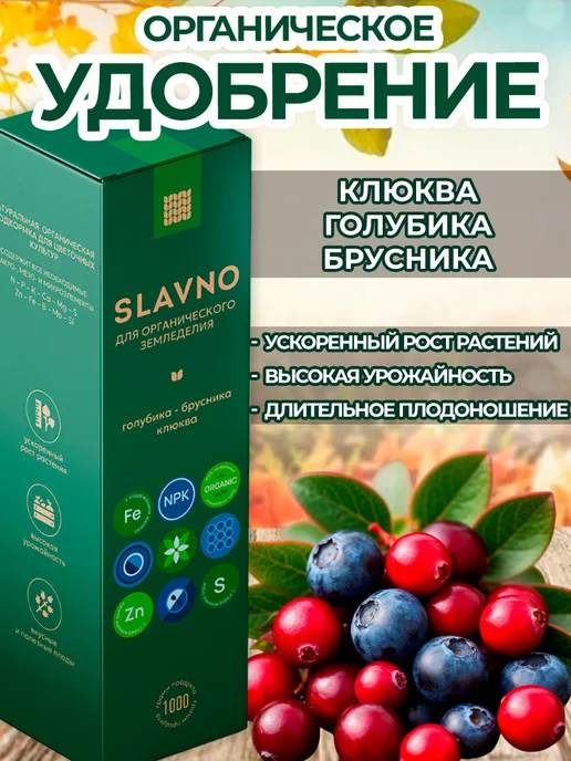SLAVNO: купить товары бренда в интернет-магазине Wildberries